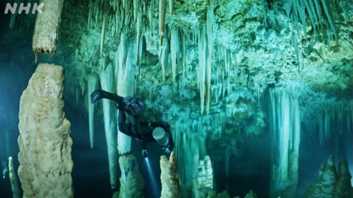 NHKスペシャル「絶海に眠る巨大洞窟」～南大東島・驚異の水中世界～ - PADIスキューバダイビングショップ ラウト鎌倉